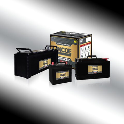 Singapore | Multicoasia